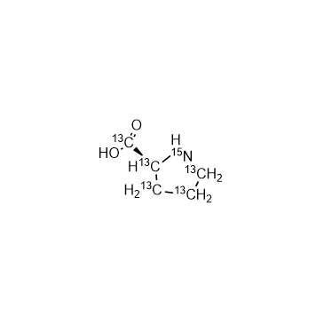 CAS 202407-23-6|L-Proline-13C5,15N |buy 202407-23-6 |Inhibitor from ...
